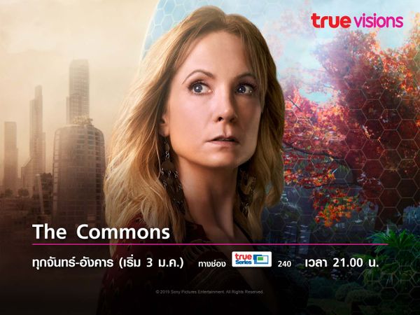 TrueVisions NOW STANDARD